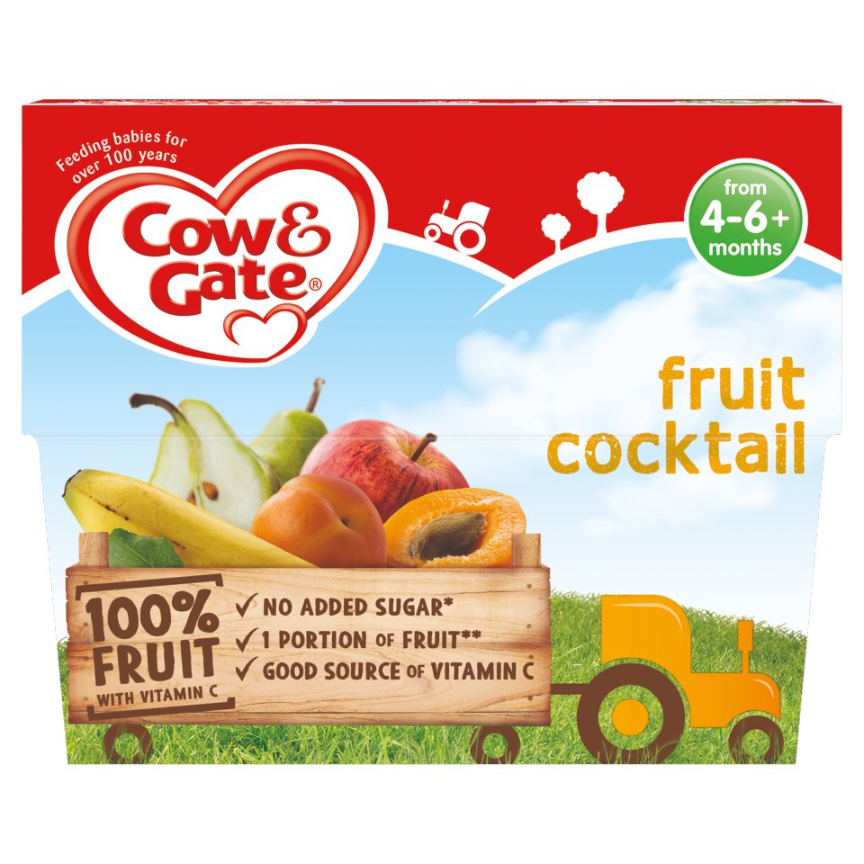 Cow & Gate Fruit Cocktail Fruit Pot 400g - Centra